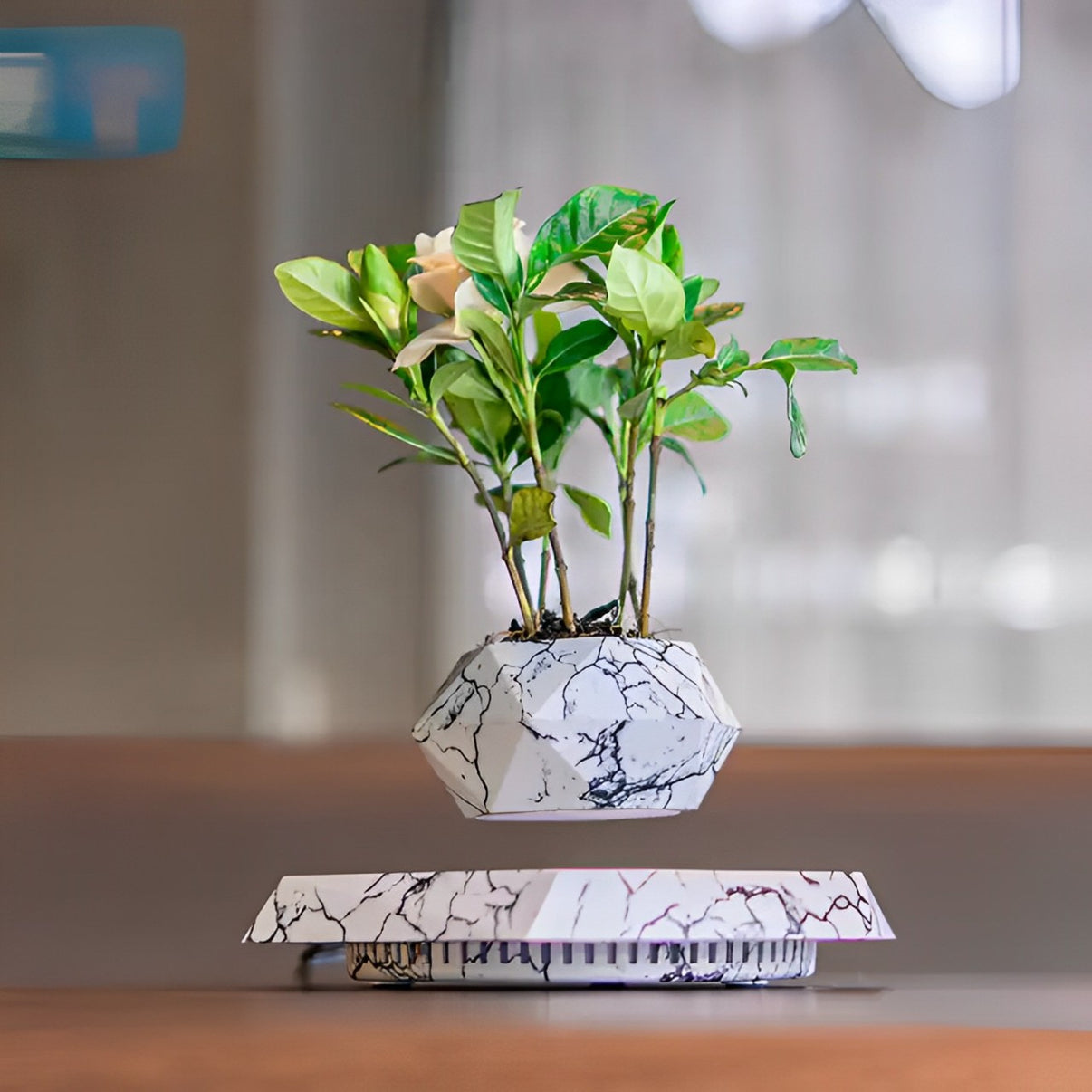 Levitating Magnetic Planter – Plantagotchi