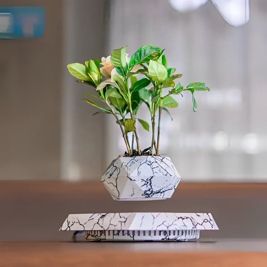 Levitating Magnetic Planter – Plantagotchi